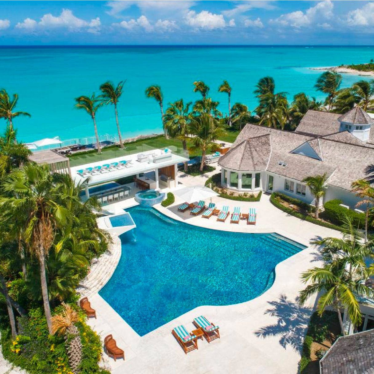 TAMARIND - Omnifique